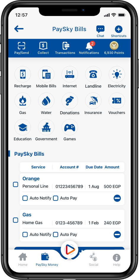 PaySky Digital Financial Payment Services, Card & Super App Egypt