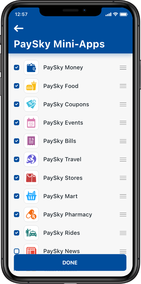 PaySky Digital Financial Payment Services, Card & Super App Egypt