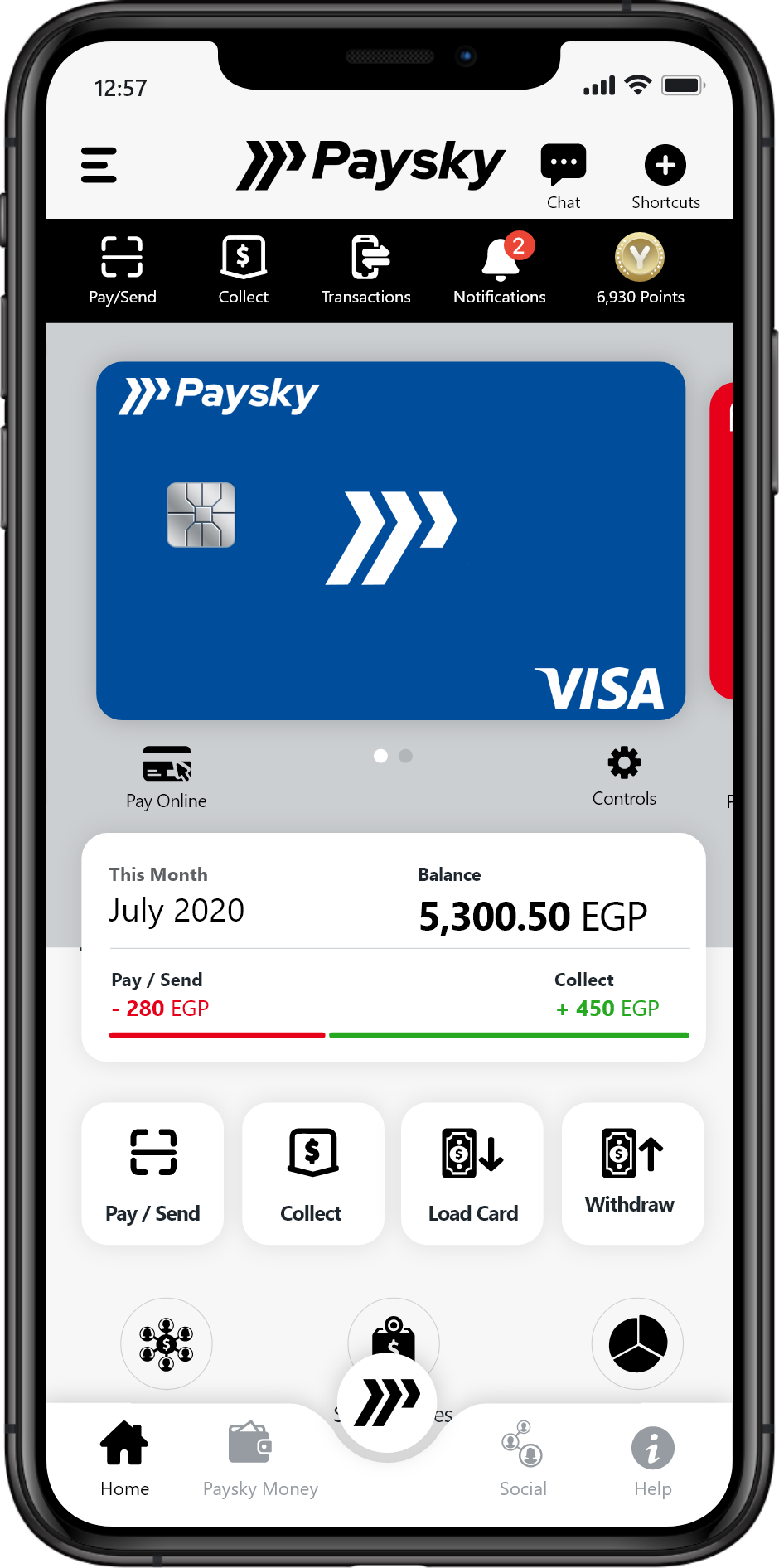 Paysky Digital Financial Payment Services, Card & Super App Egypt